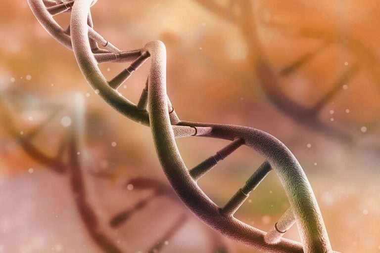 DNA Haplogroups – DNA Ancestry Project